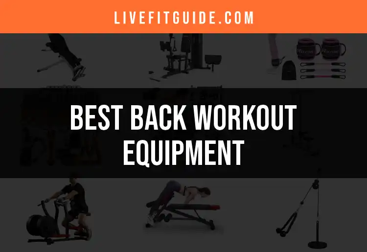 19 Must-Have Back Workout Equipment Picks